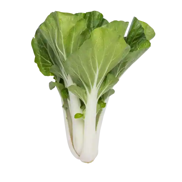 Ekologisk pak choy | Årstiderna